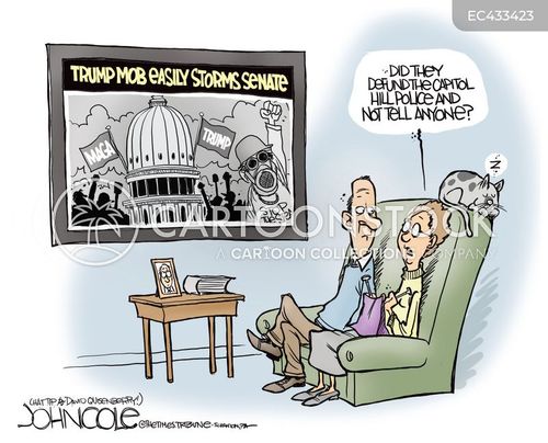 Capitol Hill Police Cartoons and Comics - funny pictures from CartoonStock