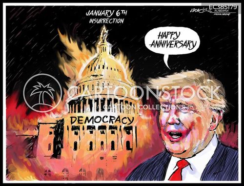 Insurrection Aftermath Cartoons and Comics - funny pictures from ...
