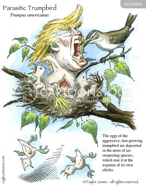 Springtime Humor Cartoons and Comics - funny pictures from CartoonStock