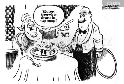 Airspace Regulations Cartoons and Comics - funny pictures from CartoonStock