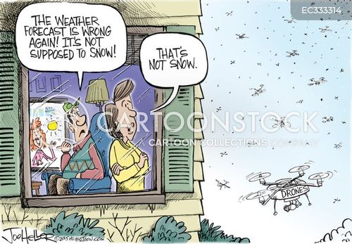 Airspace Regulations Cartoons and Comics - funny pictures from CartoonStock