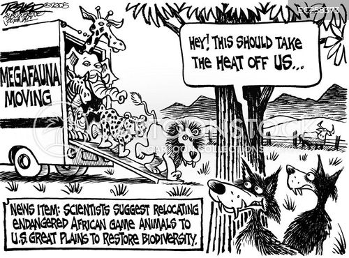 African Biodiversity Cartoons and Comics - funny pictures from CartoonStock