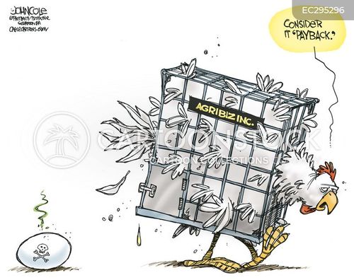 Egg Production Cartoons and Comics - funny pictures from CartoonStock