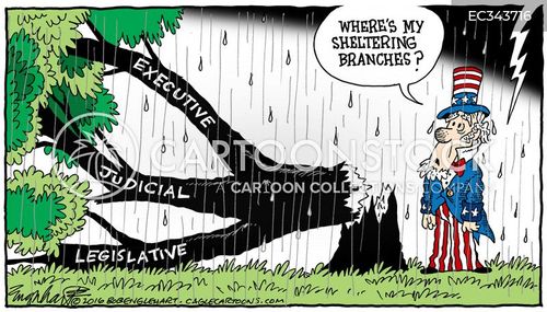 Election To The Executive Cartoons and Comics - funny pictures from ...