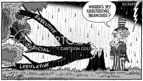 Judicial Elections Cartoons and Comics - funny pictures from CartoonStock