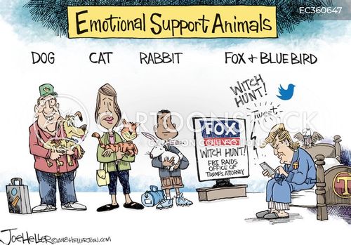 Socio-emotional Support Cartoons and Comics - funny pictures from ...