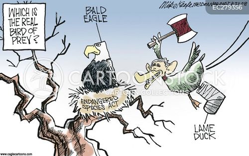 Conservation Law Cartoons and Comics - funny pictures from CartoonStock