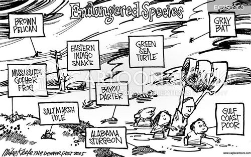 Vulnerable Species Cartoons and Comics - funny pictures from CartoonStock