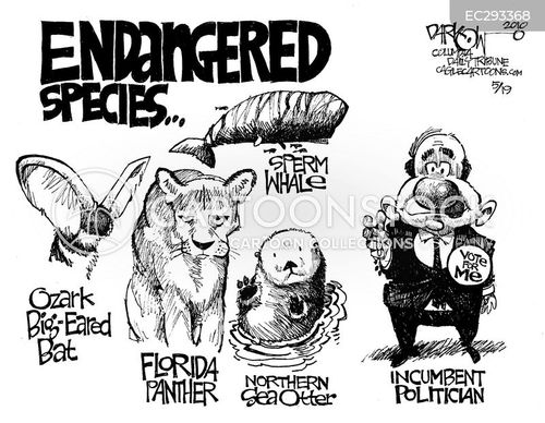 Incumbency Cartoons and Comics - funny pictures from CartoonStock