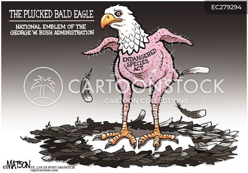 Species At Risk Cartoons and Comics - funny pictures from CartoonStock