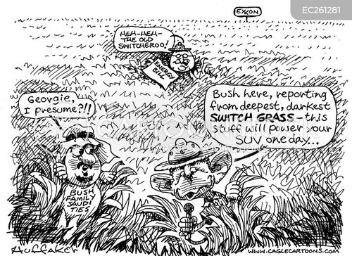 Switchgrass Cartoons and Comics - funny pictures from CartoonStock