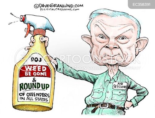 Smoking Weed Cartoons and Comics - funny pictures from CartoonStock