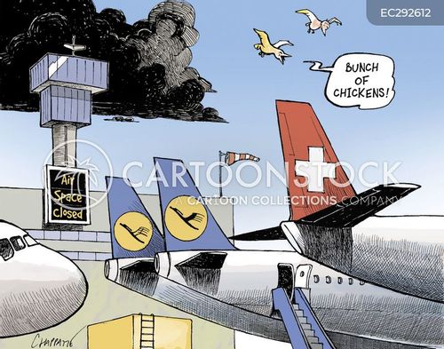 Bird Aviation Cartoons and Comics - funny pictures from CartoonStock