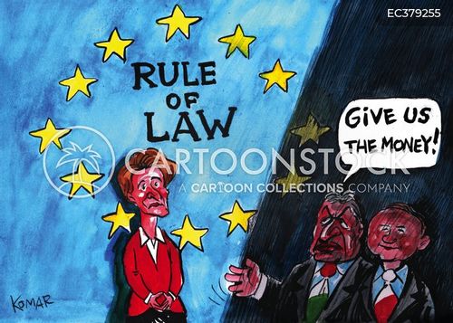 Rule Of Law Cartoons and Comics - funny pictures from CartoonStock