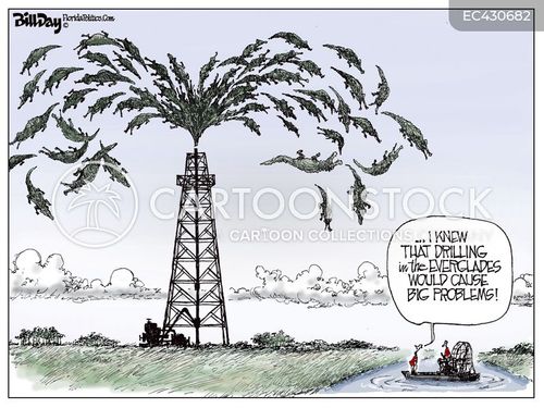 Everglades Cartoons and Comics - funny pictures from CartoonStock