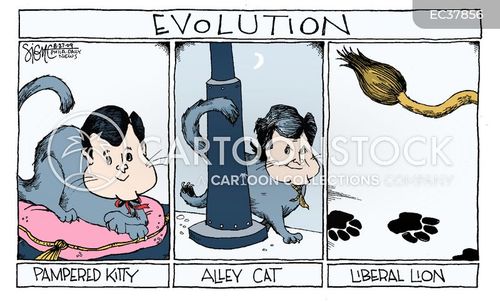 Alley Cat Cartoons and Comics - funny pictures from CartoonStock
