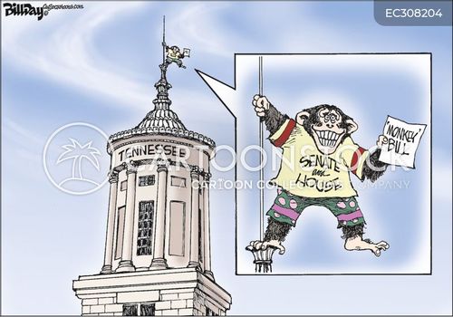 Monkey Bill Cartoons and Comics - funny pictures from CartoonStock