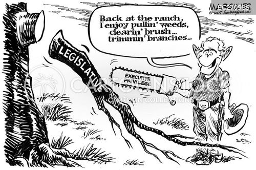 Unwarranted Privilege Cartoons and Comics - funny pictures from ...