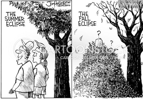 Fall Cartoons and Comics - funny pictures from CartoonStock