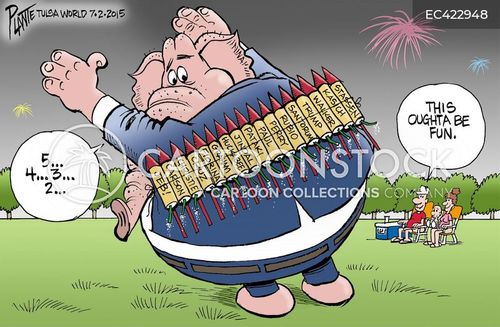 Partisan Divide Fireworks Display Cartoons and Comics - funny pictures ...