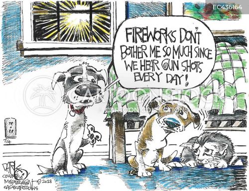 Firework Sound Cartoons and Comics - funny pictures from CartoonStock