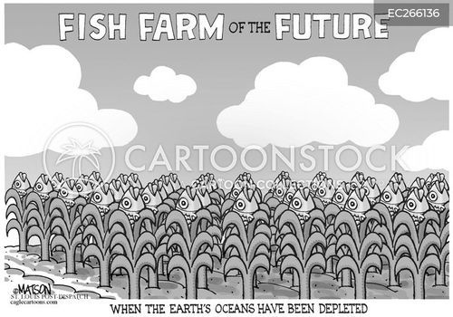 Fish Farming Cartoons and Comics - funny pictures from CartoonStock