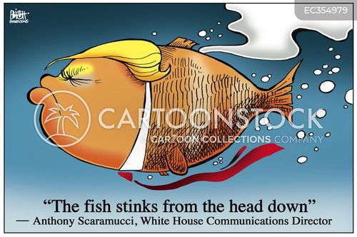 Communications Director Cartoons And Comics Funny Pictures From