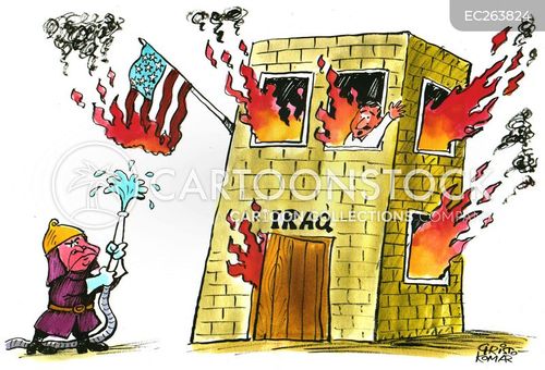 Flag Burning Amendment Cartoons and Comics - funny pictures from ...