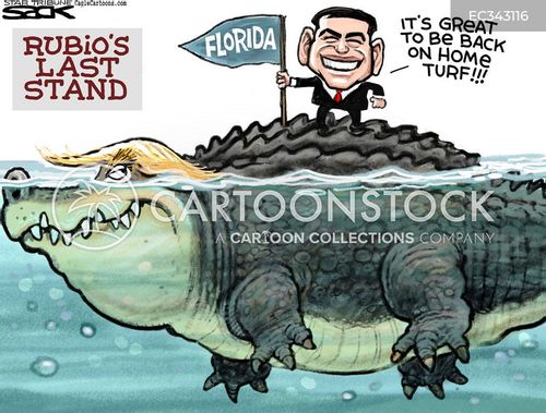 Primario Florida Cartoons and Comics - funny pictures from CartoonStock