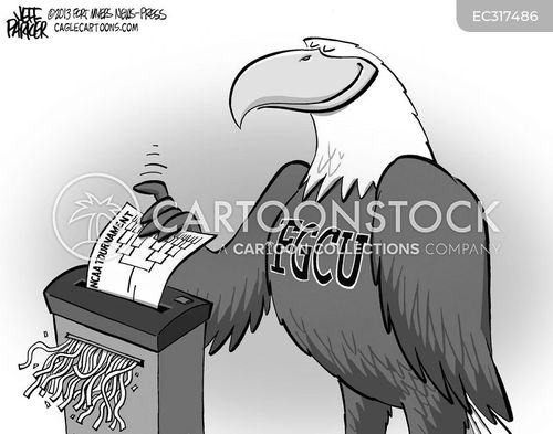 Florida Gulf Coast Cartoons and Comics - funny pictures from CartoonStock