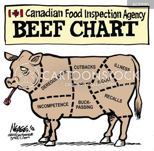 Cuts Of Beef Cartoons and Comics - funny pictures from CartoonStock