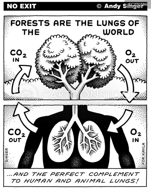 Lungs Cartoons and Comics - funny pictures from CartoonStock