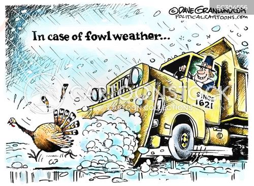 Foul Weather Cartoons and Comics - funny pictures from CartoonStock