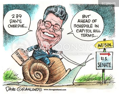 Minnesota Election Cartoons and Comics - funny pictures from CartoonStock