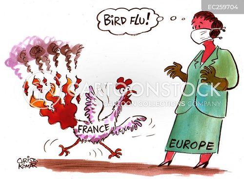 Fire Rooster Cartoons and Comics - funny pictures from CartoonStock