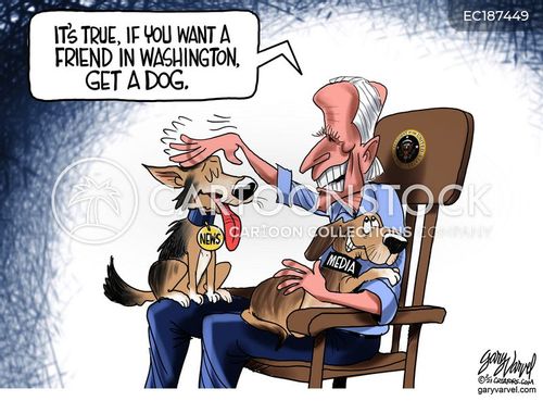 Newsroom Animals Cartoons and Comics - funny pictures from CartoonStock