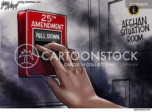 25th Amendment Picture