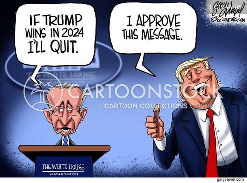 After 2024 Win Cartoons and Comics - funny pictures from CartoonStock