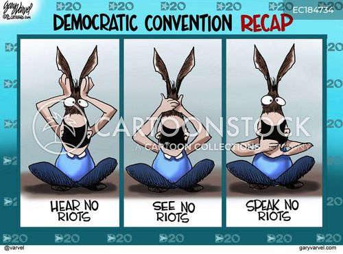 Political Convention 2020 Cartoons and Comics - funny pictures from ...