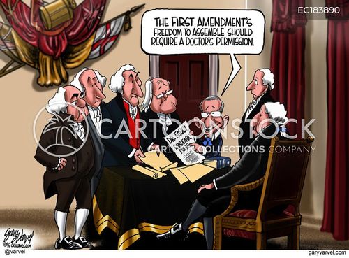 Constitutional Requirement Cartoons and Comics - funny pictures from ...