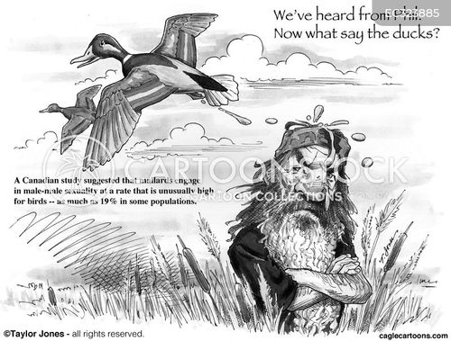 Mallard Birds Cartoons and Comics - funny pictures from CartoonStock