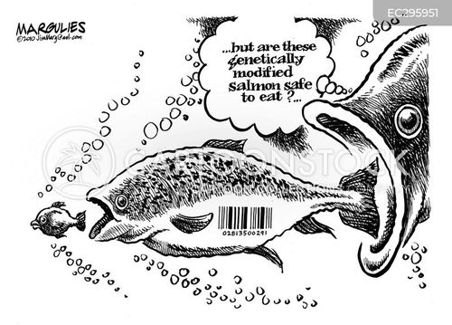 Salmon Farming Cartoons and Comics - funny pictures from CartoonStock