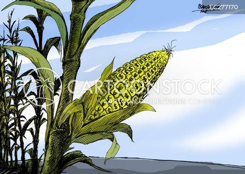 Hybridization Cartoons and Comics - funny pictures from CartoonStock