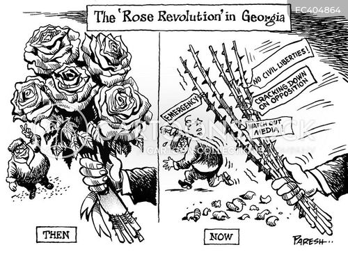 Emerging Democracy Cartoons and Comics - funny pictures from CartoonStock