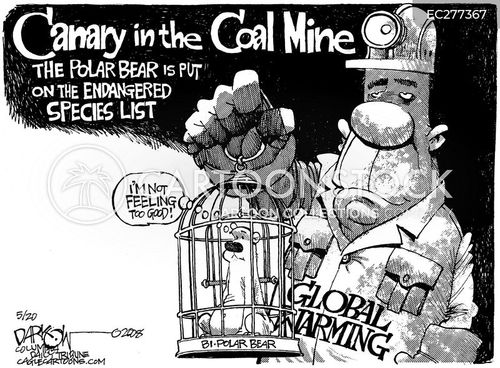 Polar Wildlife Cartoons and Comics - funny pictures from CartoonStock