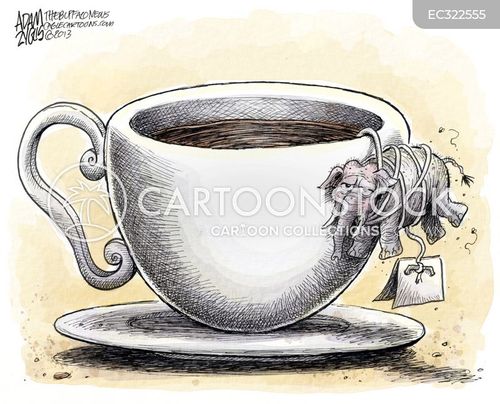 Us House Split Cartoons and Comics - funny pictures from CartoonStock