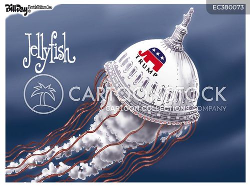 Jellyfish Anatomy Cartoons and Comics - funny pictures from CartoonStock