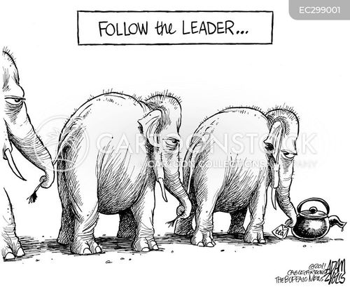 Follow The Leader Cartoons and Comics - funny pictures from CartoonStock