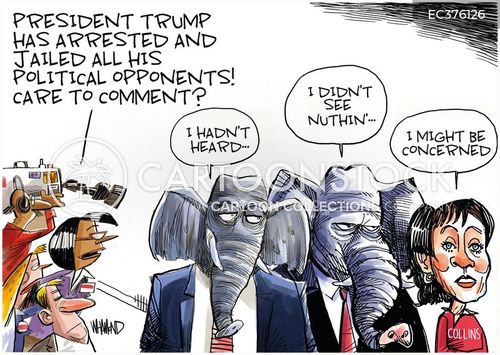 Democracy At Risk Cartoons and Comics - funny pictures from CartoonStock