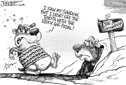 Groundhog Cartoons and Comics - funny pictures from CartoonStock